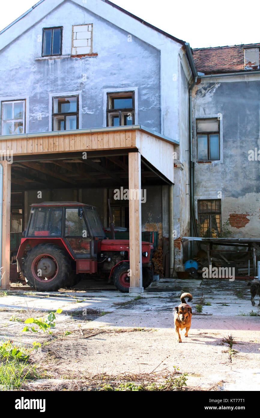 Farm with tractor and dog Stock Photo - Alamy