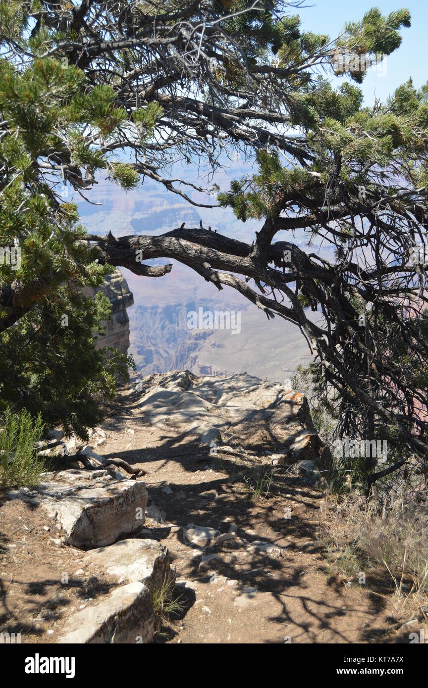 Grand Canyon Of The Colorado River. South Kaibab Trailhead. Geological ...