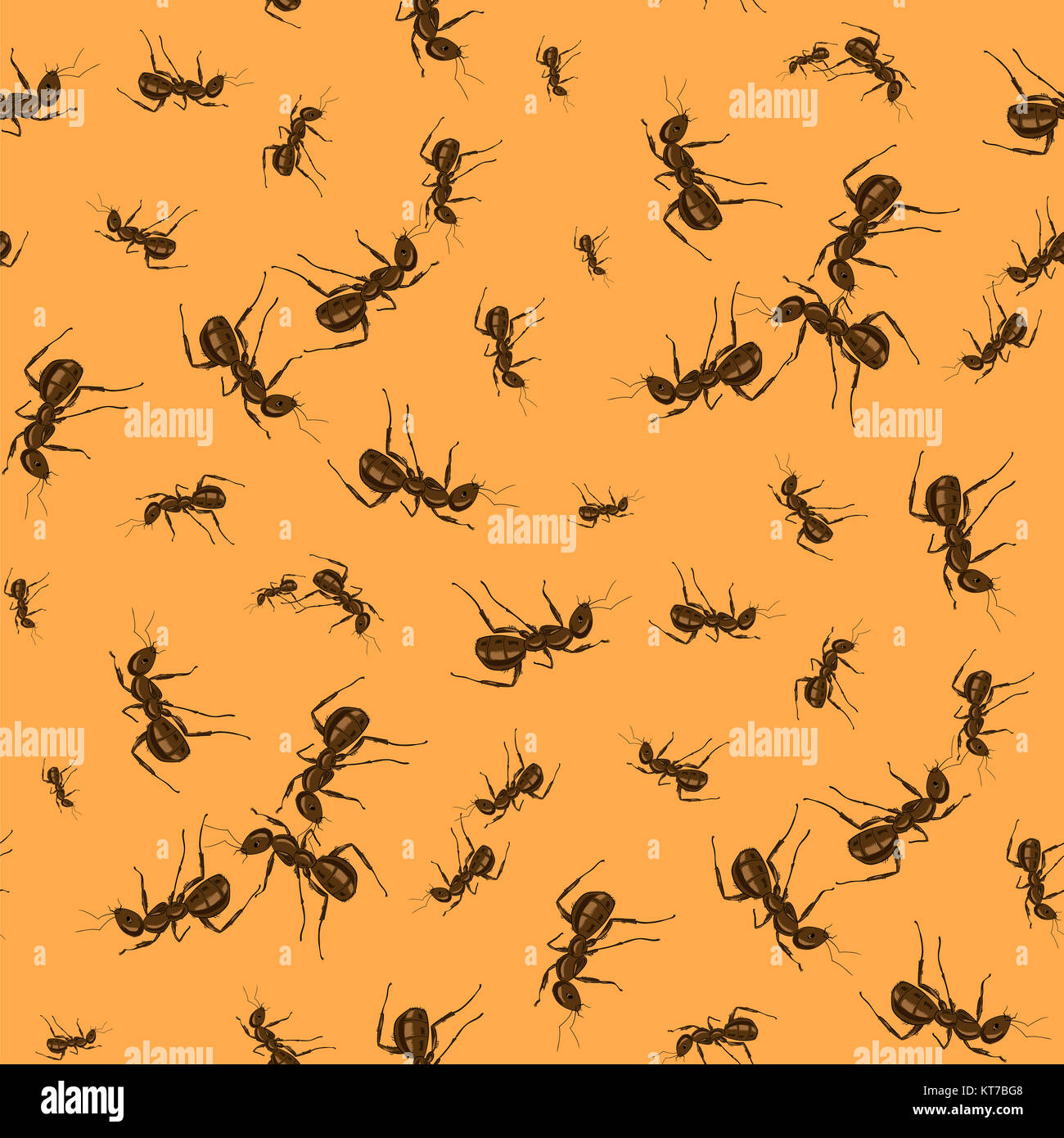 Ant colony illustration hi-res stock photography and images - Alamy