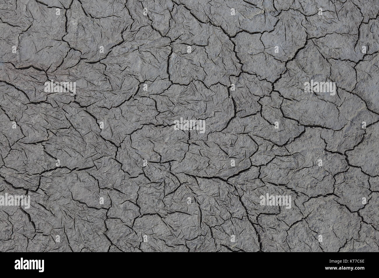 texture on land Stock Photo - Alamy