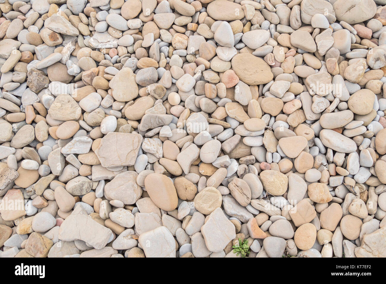 Large amount rounded and polished beach rocks Stock Photo - Alamy