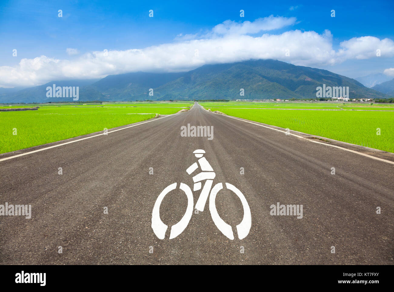 country road for bicycle only Stock Photo - Alamy