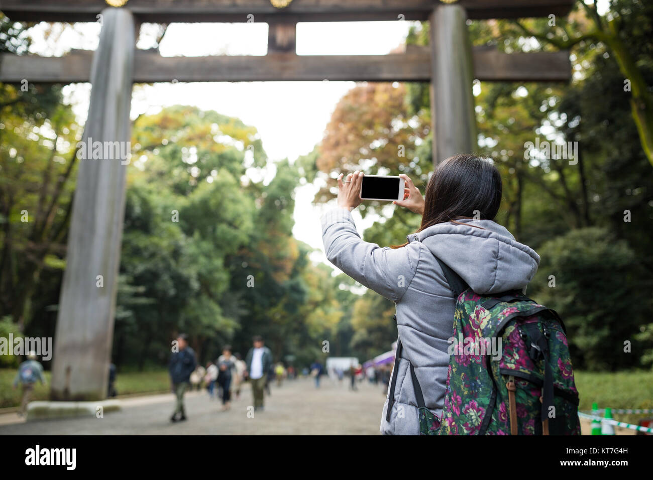 Woman take photo of Japanese torri in Meji Shrine Stock Photo - Alamy