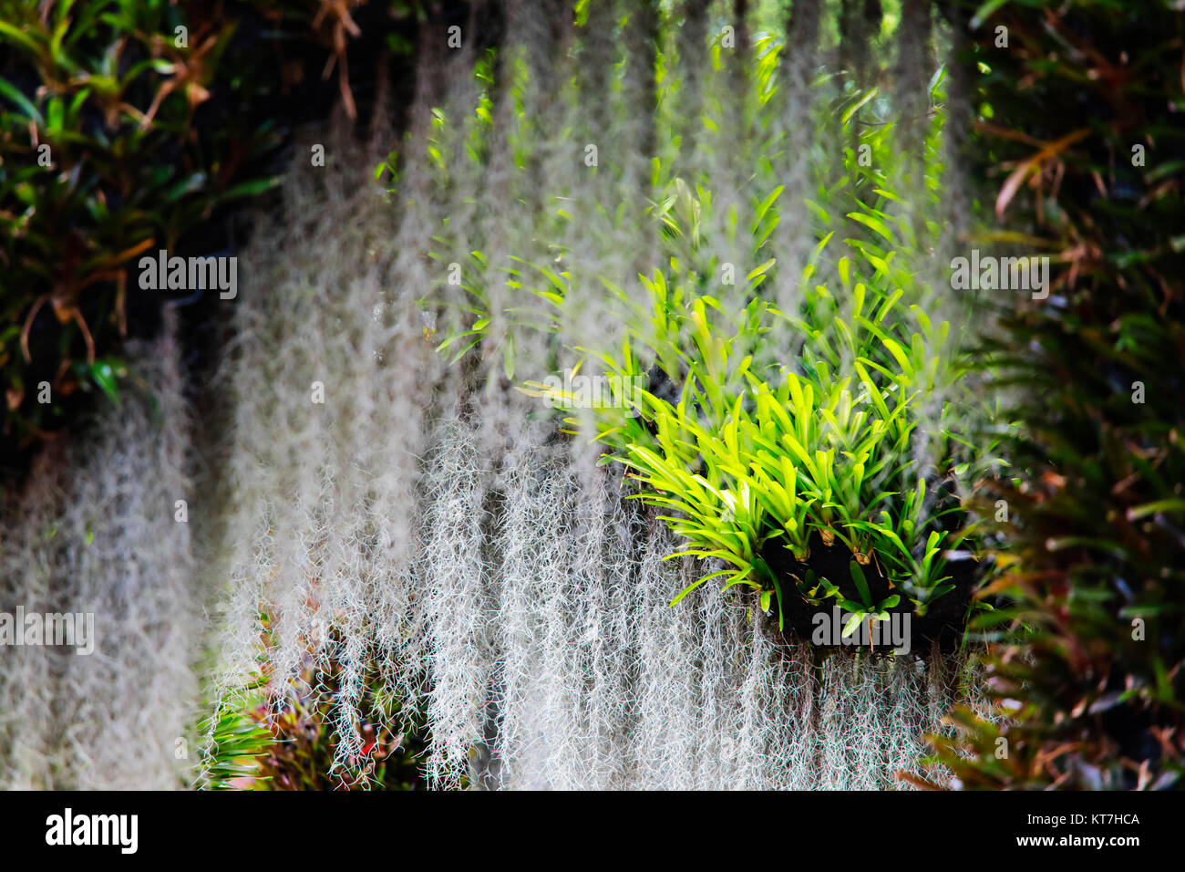 Red soil background light hi-res stock photography and images - Alamy