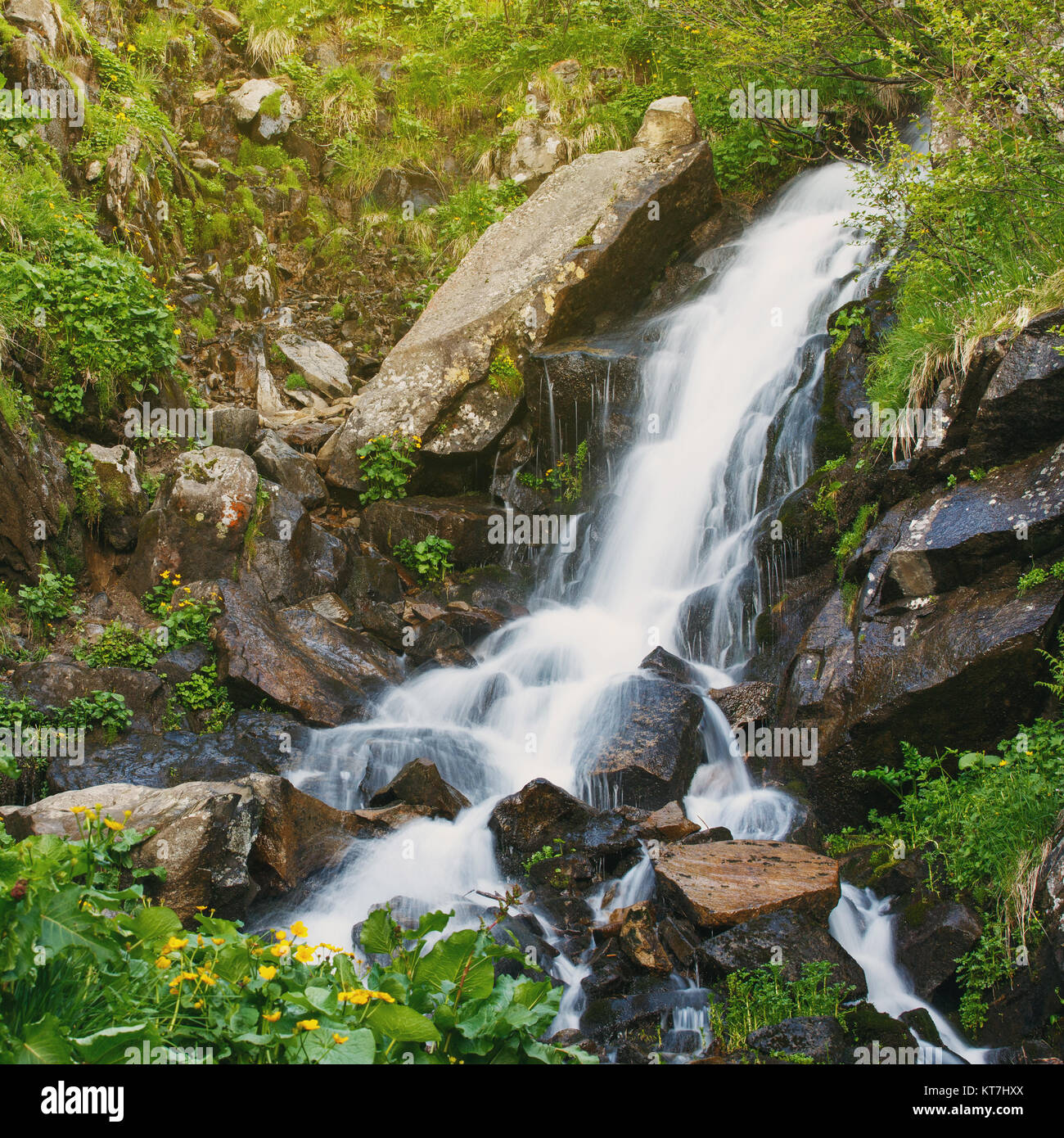 beautiful waterfall in forest, spring landscape Stock Photo - Alamy