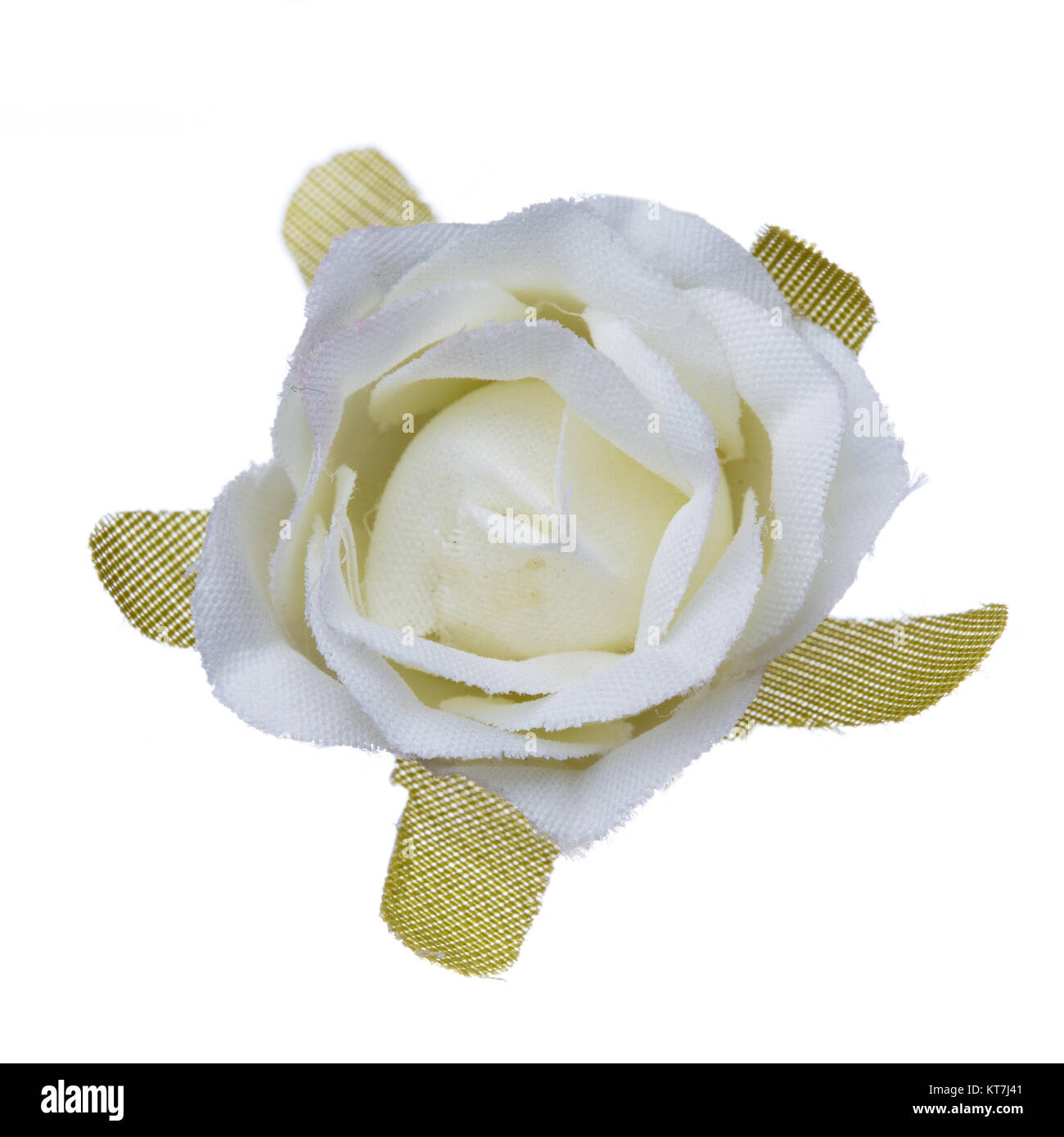 white flower head isolated, beautiful decoration,top view Stock Photo ...