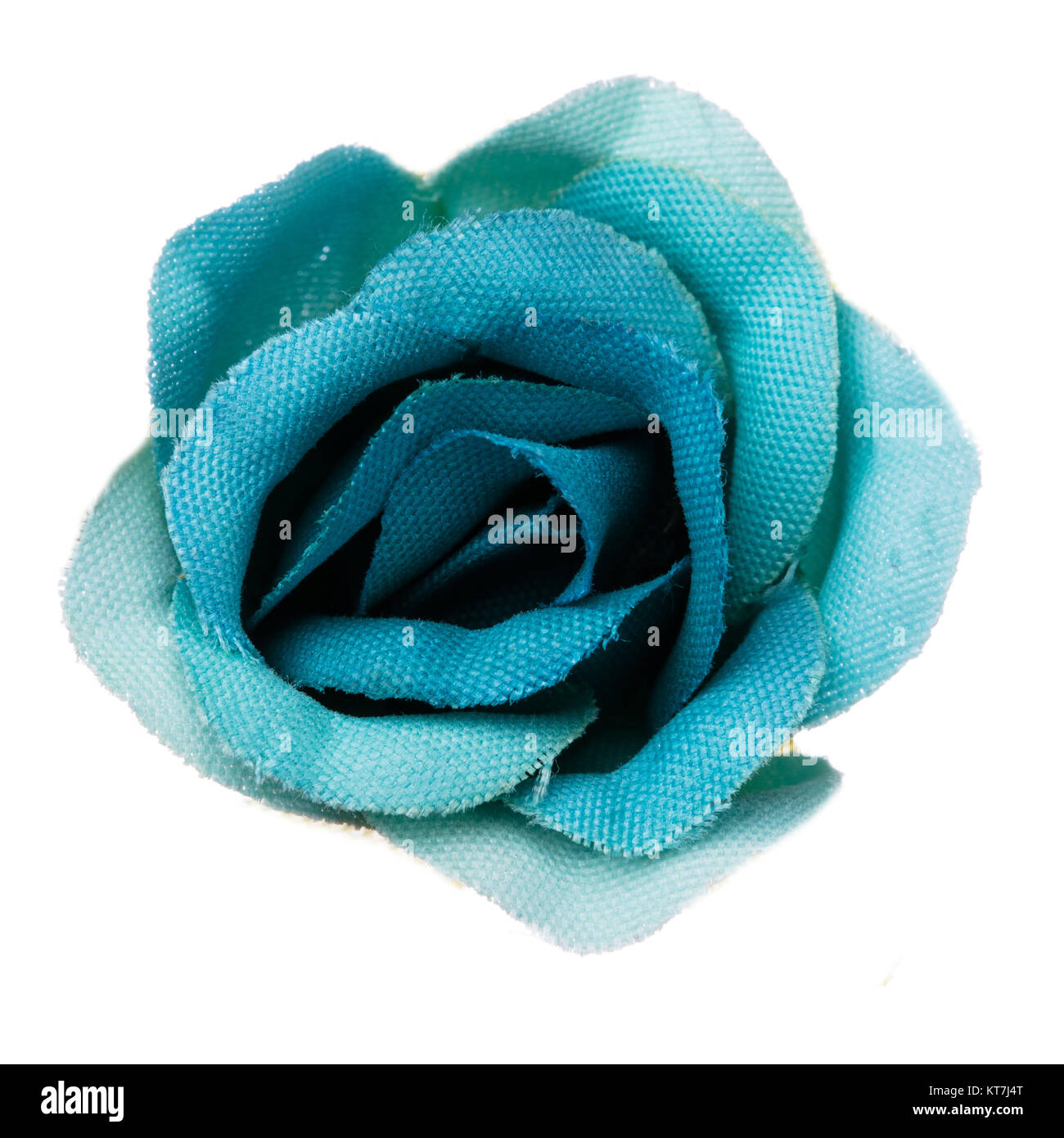 blue flower head isolated, beautiful decoration,top view Stock Photo ...