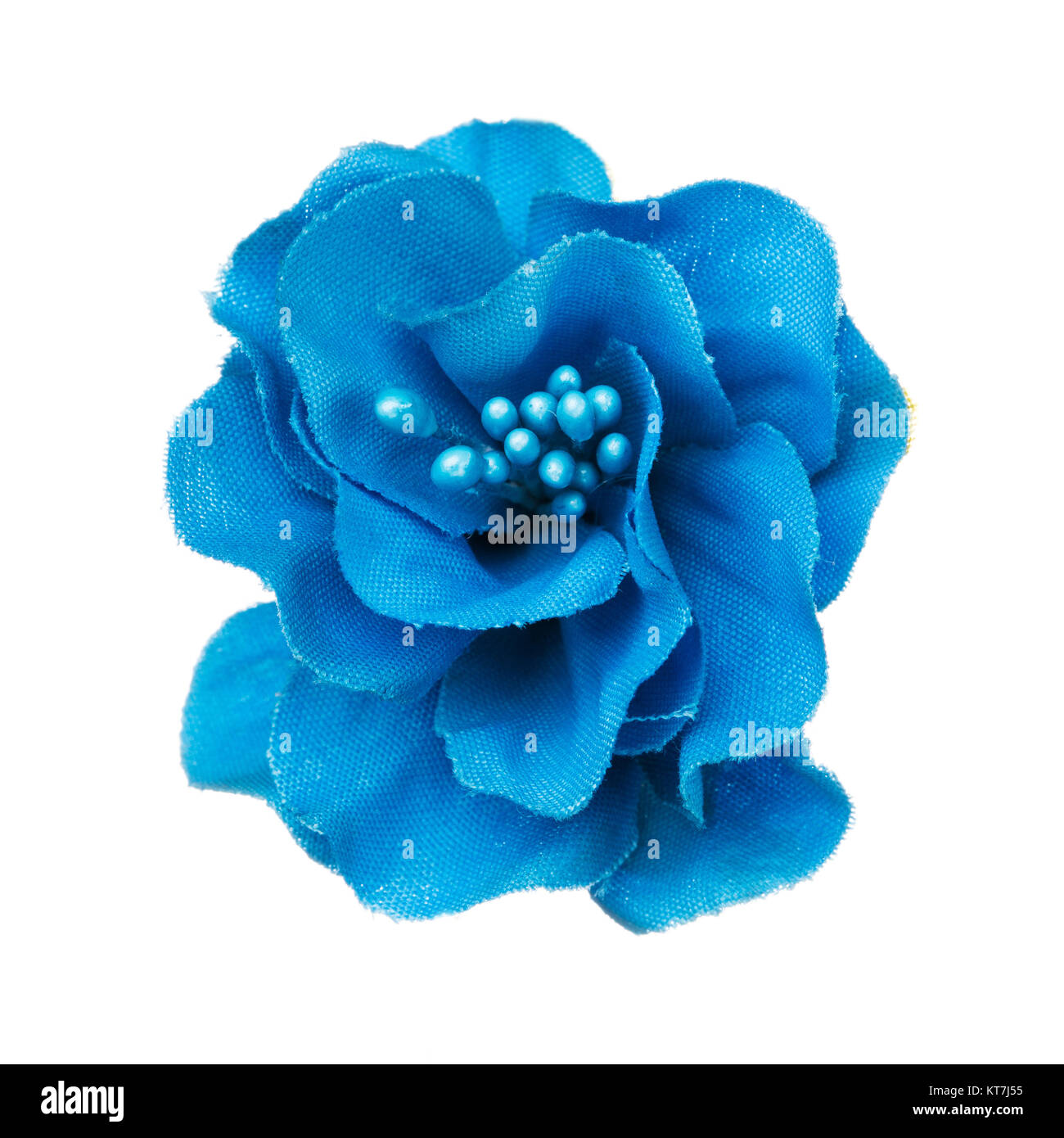 blue flower head isolated, beautiful decoration,top view Stock Photo ...