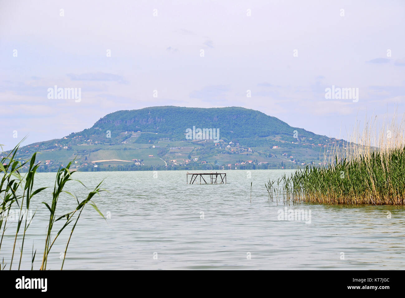 Badacsony hill and the lake Balaton in Hungary Stock Photo - Alamy