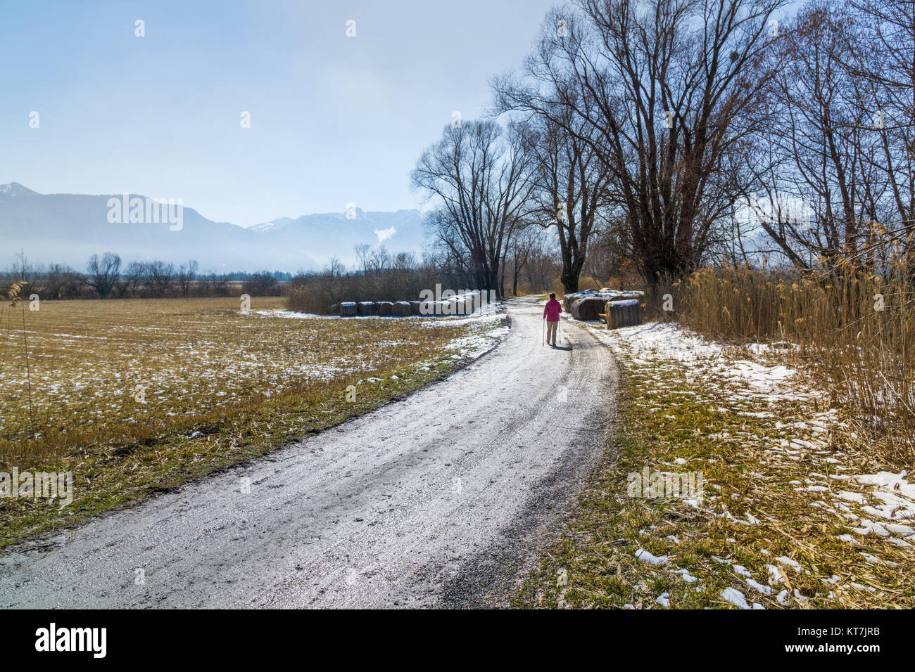 hiking in the murnauer moos Stock Photo - Alamy