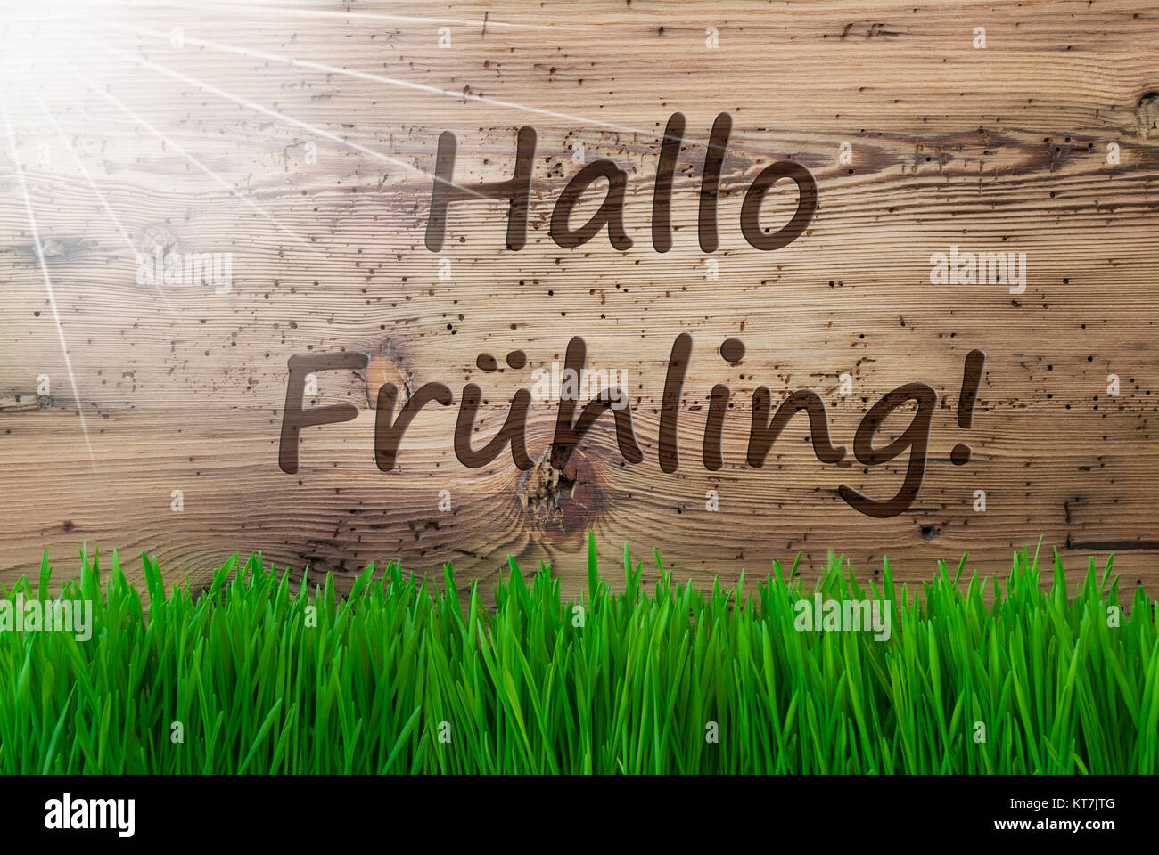 German Text Hallo Fruehling Means Hello Spring. Spring Season Greeting ...