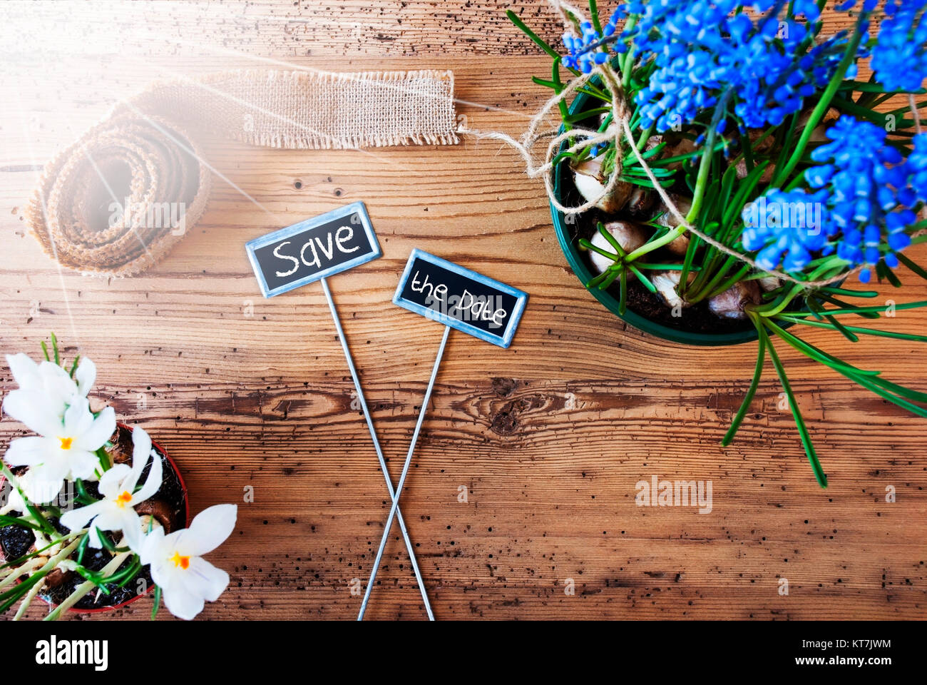 Two Signs With English Text Save The Date. Sunny Spring Flowers Like ...