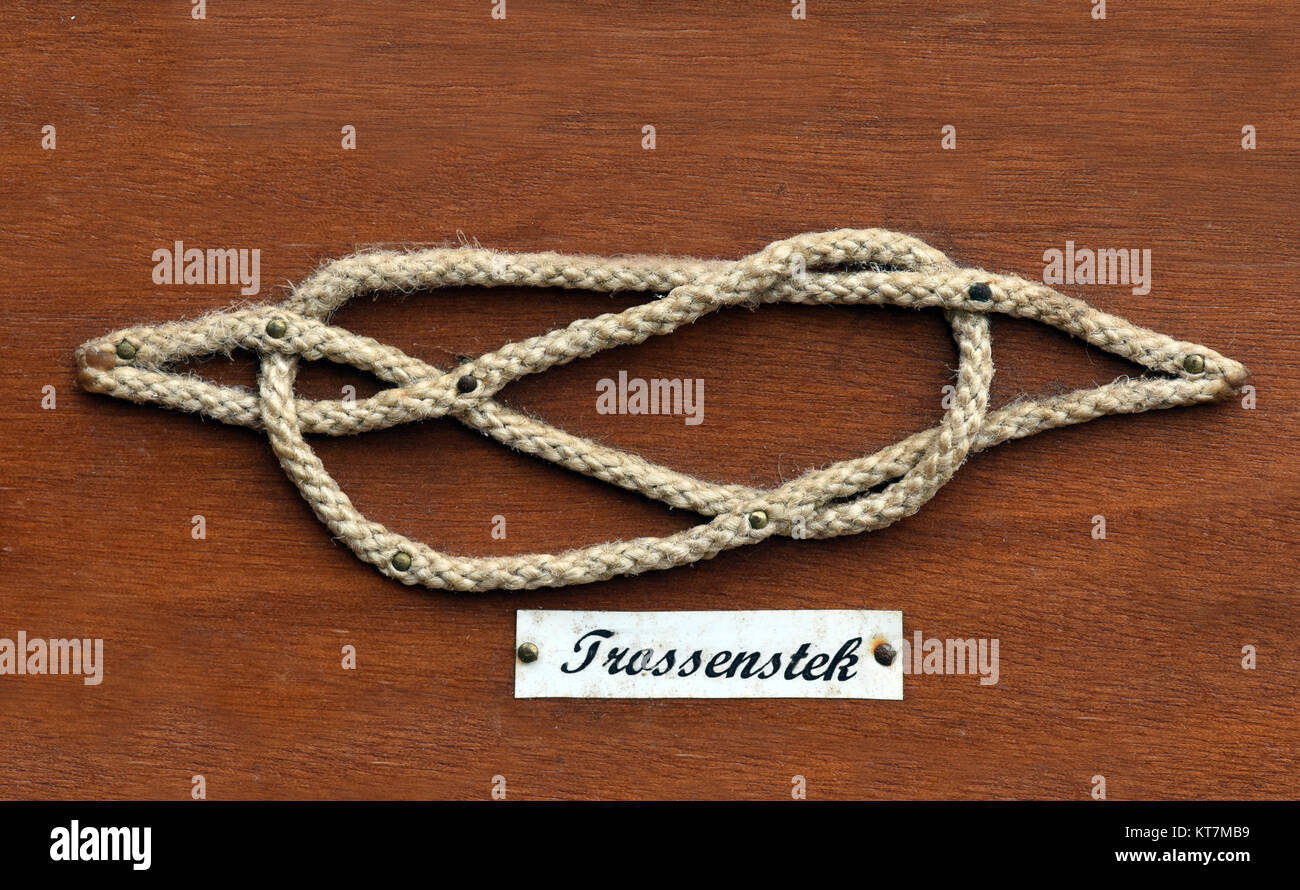 Knotenkunde hi-res stock photography and images - Alamy