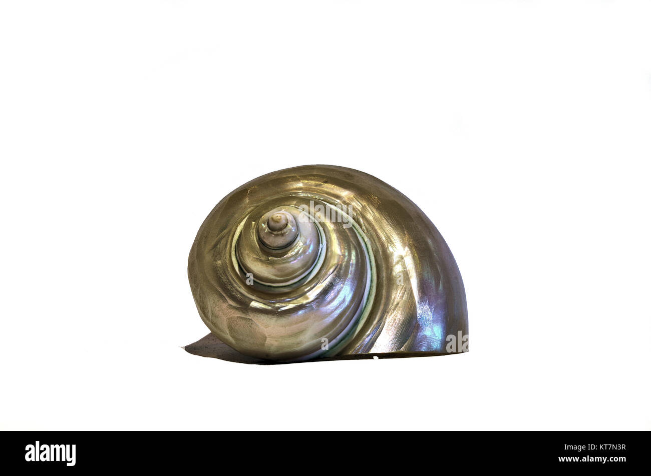 Mother of pearl texture Cut Out Stock Images & Pictures - Alamy