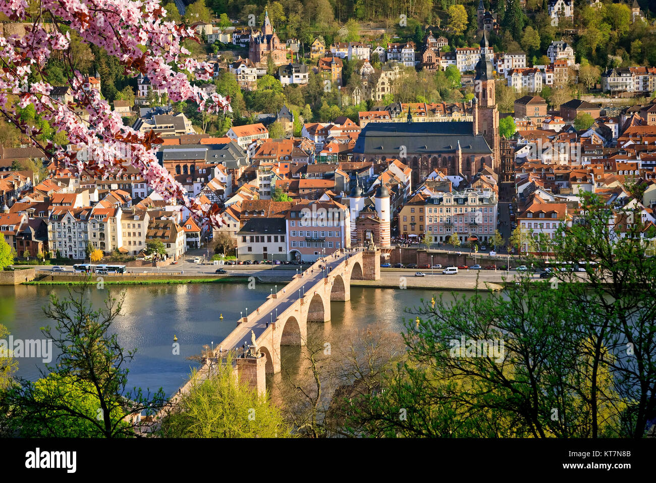 Heidelberg at spring Stock Photo - Alamy
