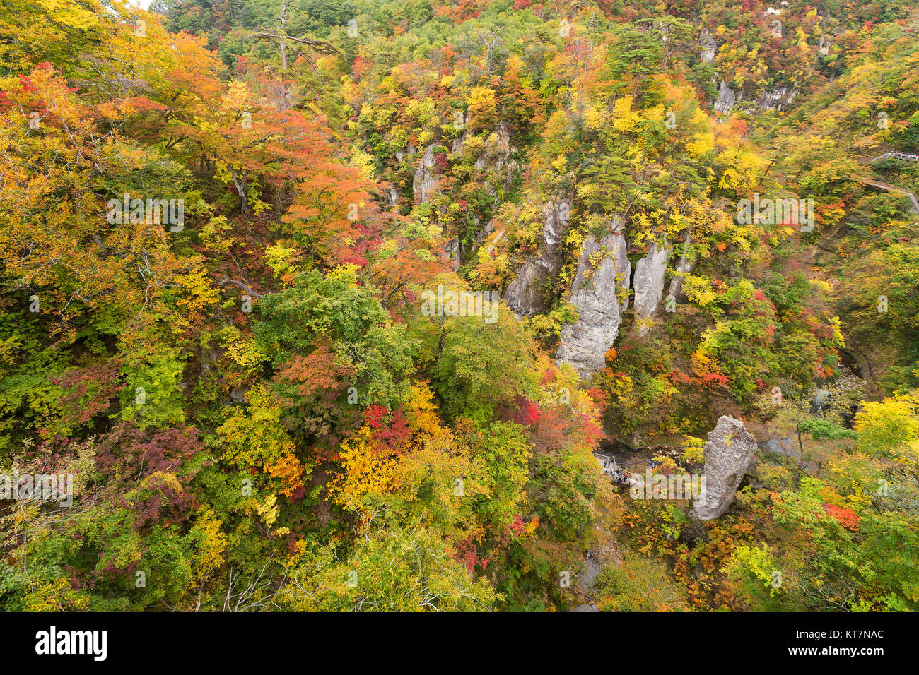 Naruko canyon in Japan Stock Photo - Alamy