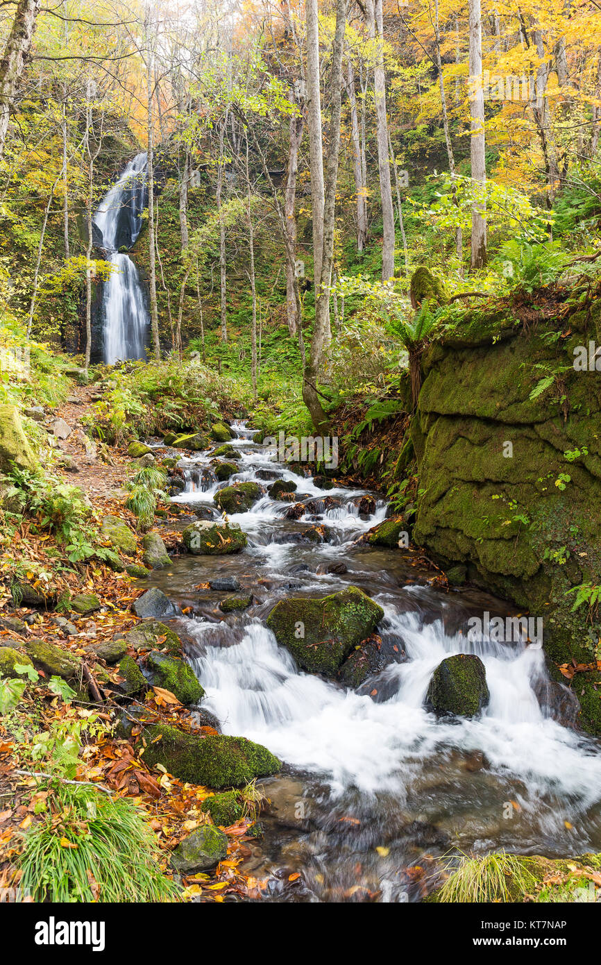Oirase Stream in Japan Stock Photo - Alamy