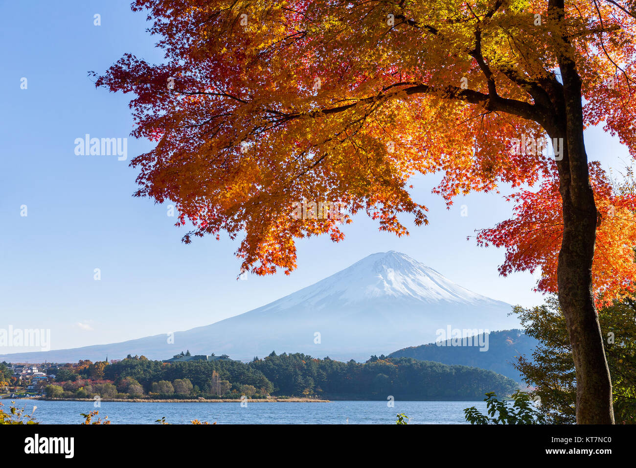 Fuji mountain in autuma Stock Photo - Alamy