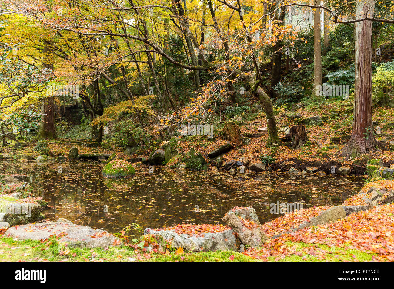 Beautiful park in Japan Stock Photo - Alamy