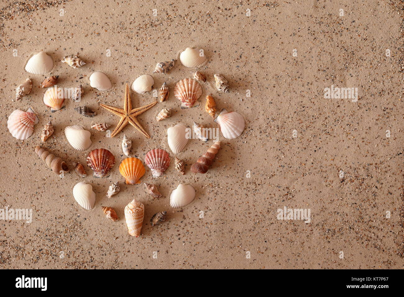 heart of shells Stock Photo - Alamy