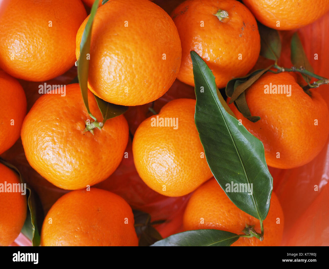 Orange tangerine mandarin citrus tangerina hi-res stock photography and ...