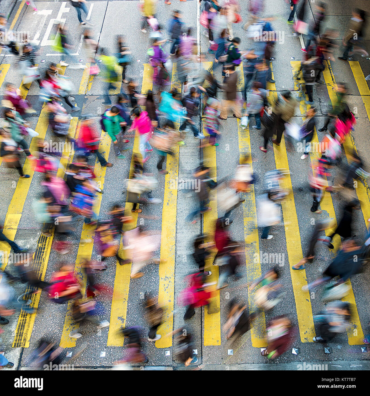 Poor zebra hi-res stock photography and images - Alamy