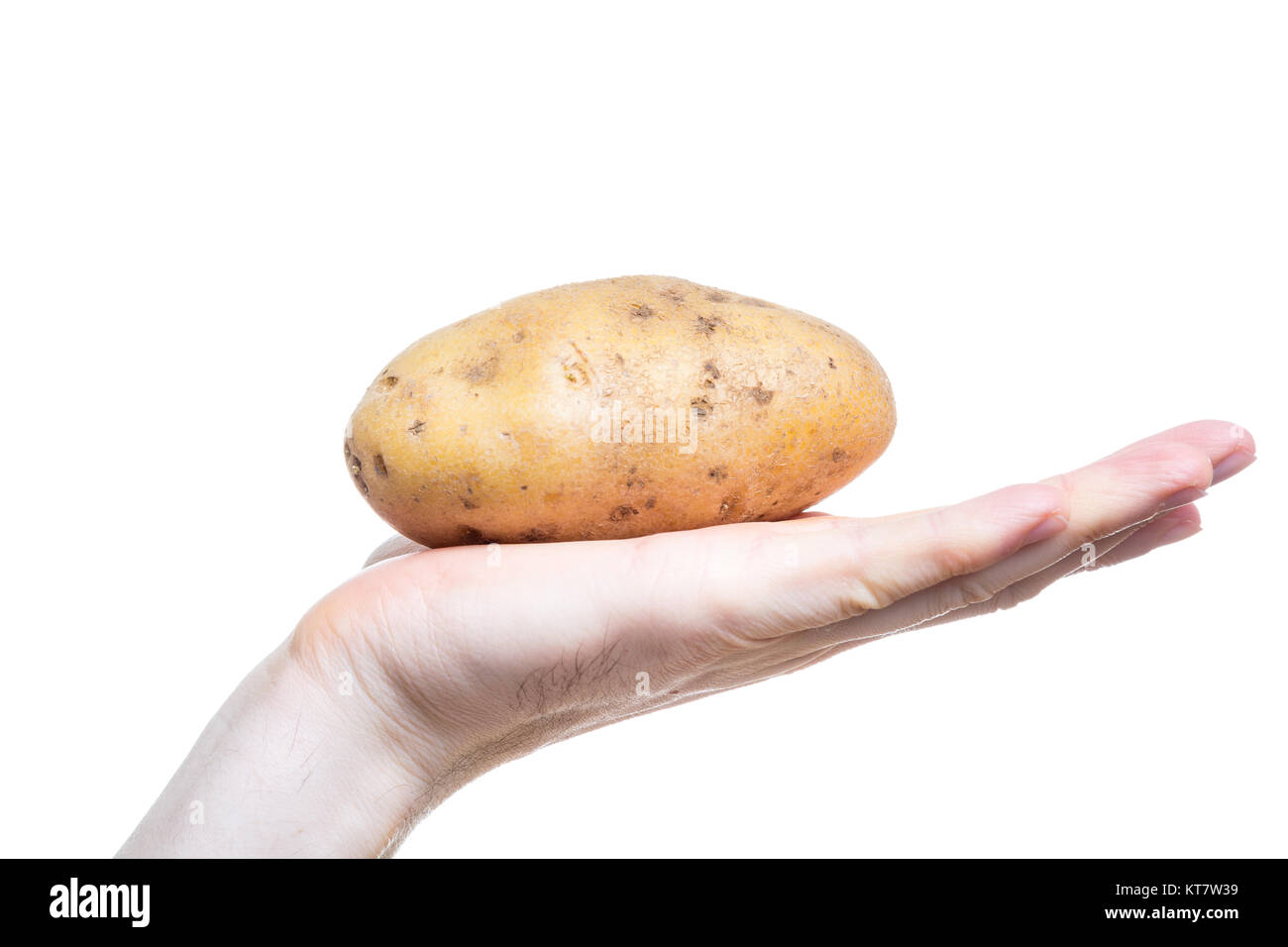 Holding a potato in the palm of a hand isolated on white background ...
