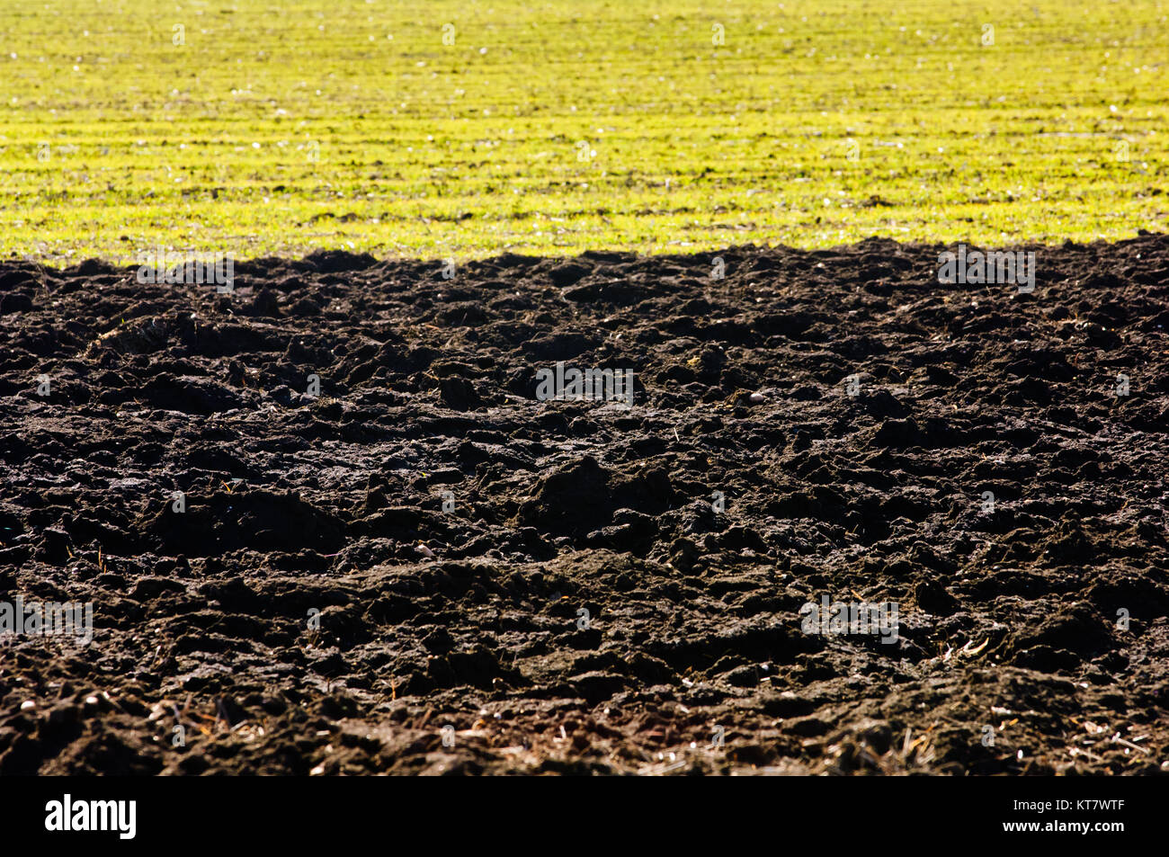 Ploughed soil in agricultural field arable land Stock Photo - Alamy