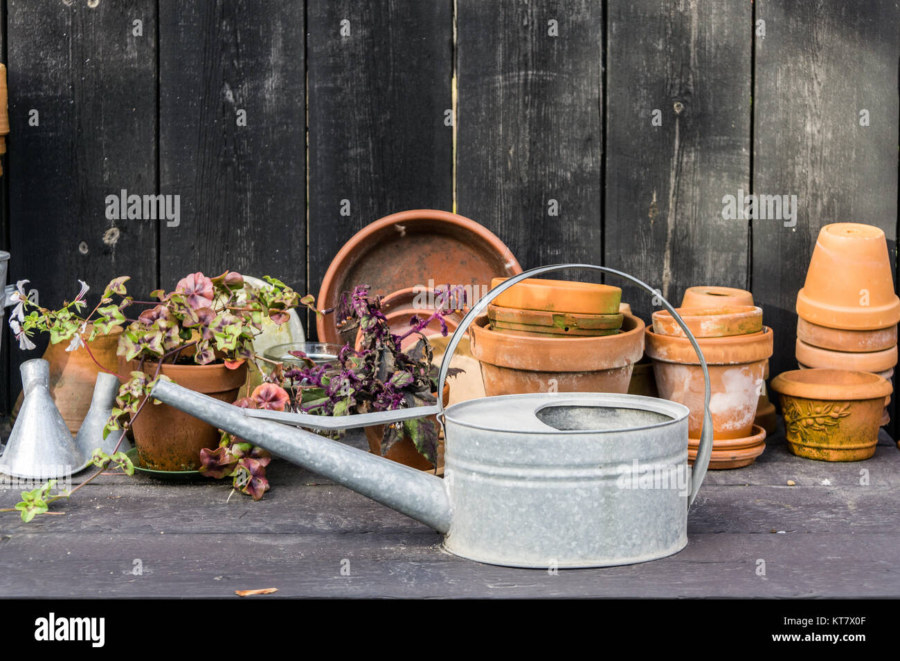 romantic idyllic plant table in the garden with old retro flower pot ...