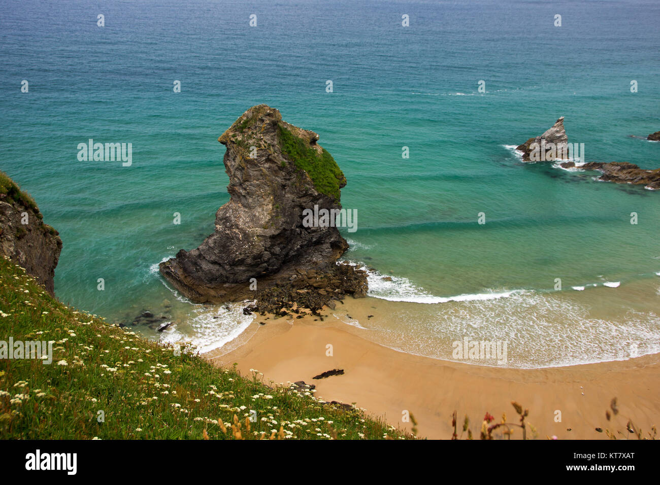 Cornwall countryside june hi-res stock photography and images - Alamy