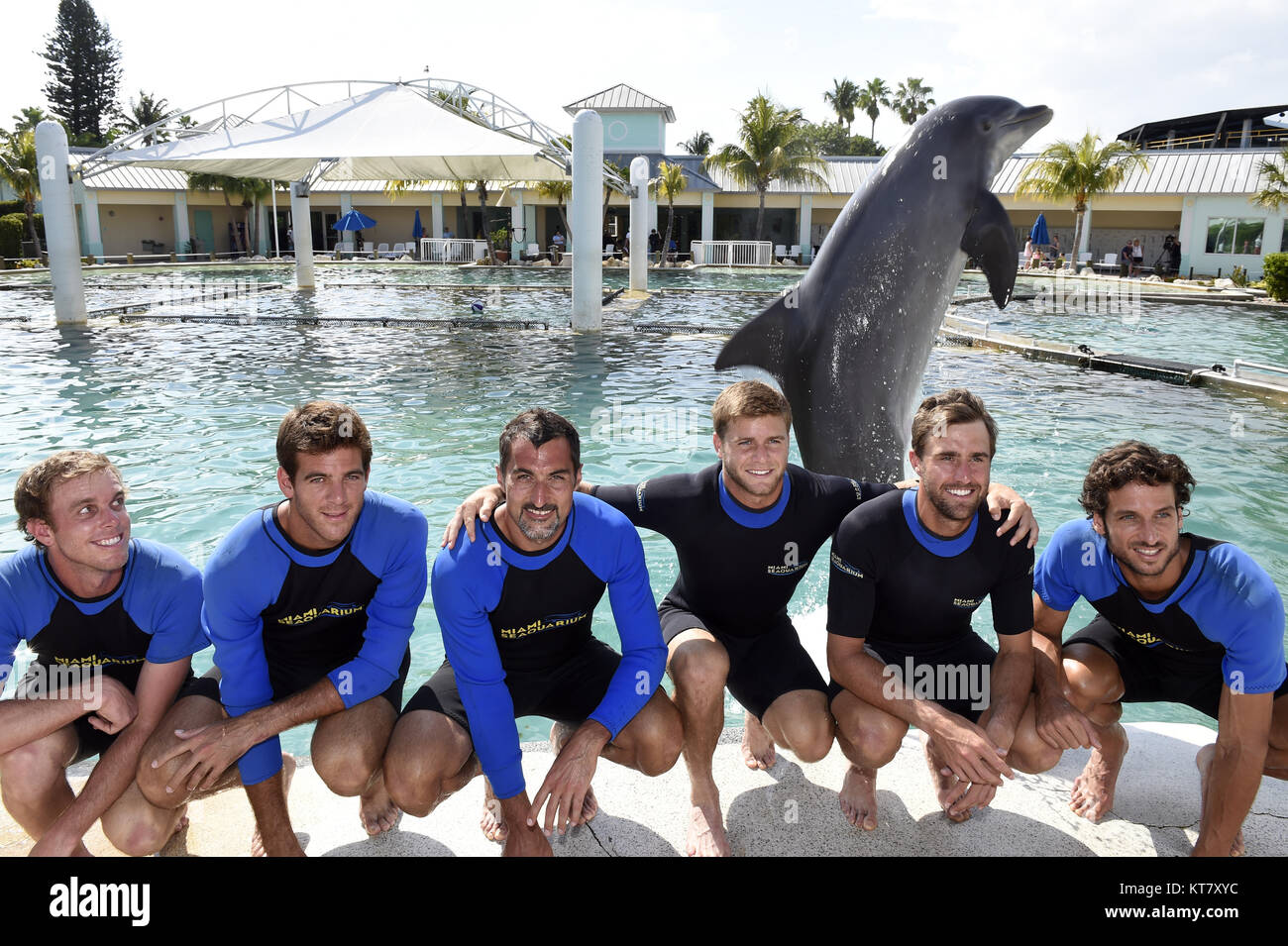 Czech tennis player lucie hradecka hi-res stock photography and images ...