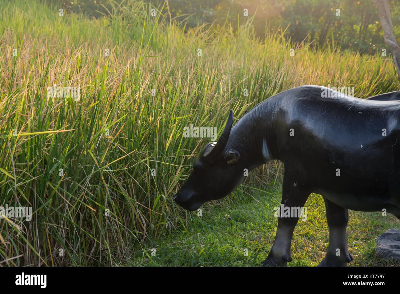 Buffalo statue in the park Stock Photo - Alamy