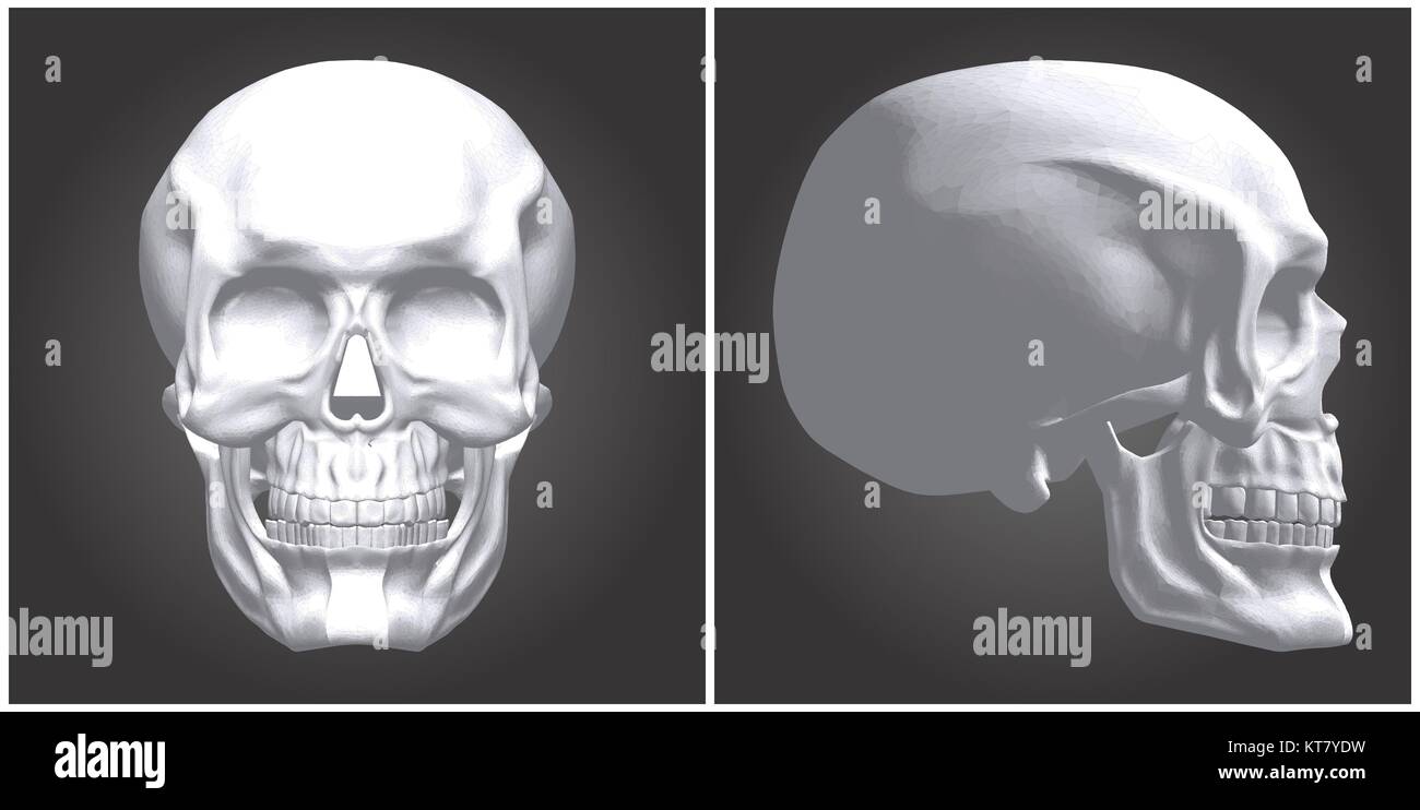 Human bone grave hi-res stock photography and images - Alamy