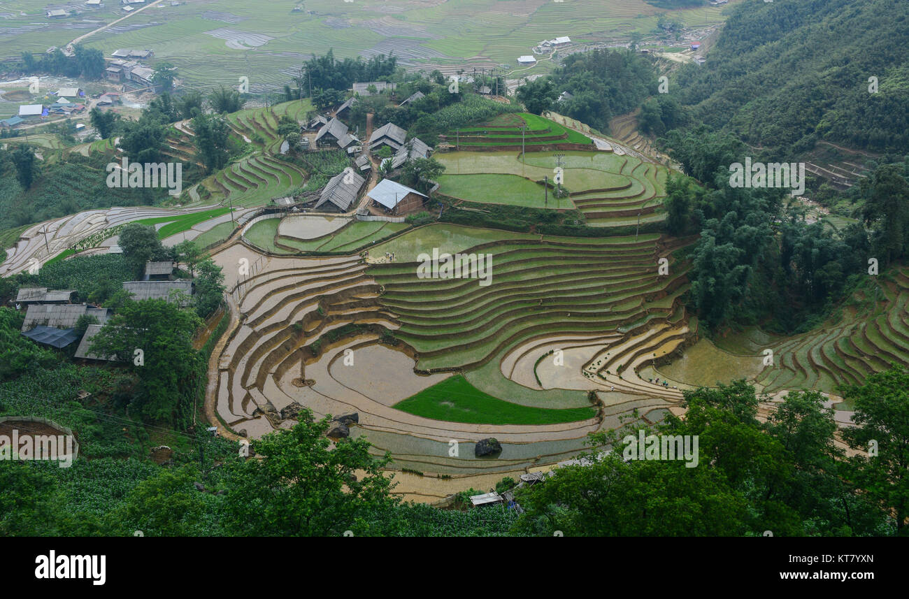 Hmong village with terraced rice field in Sapa, Vietnam. Sapa is a ...
