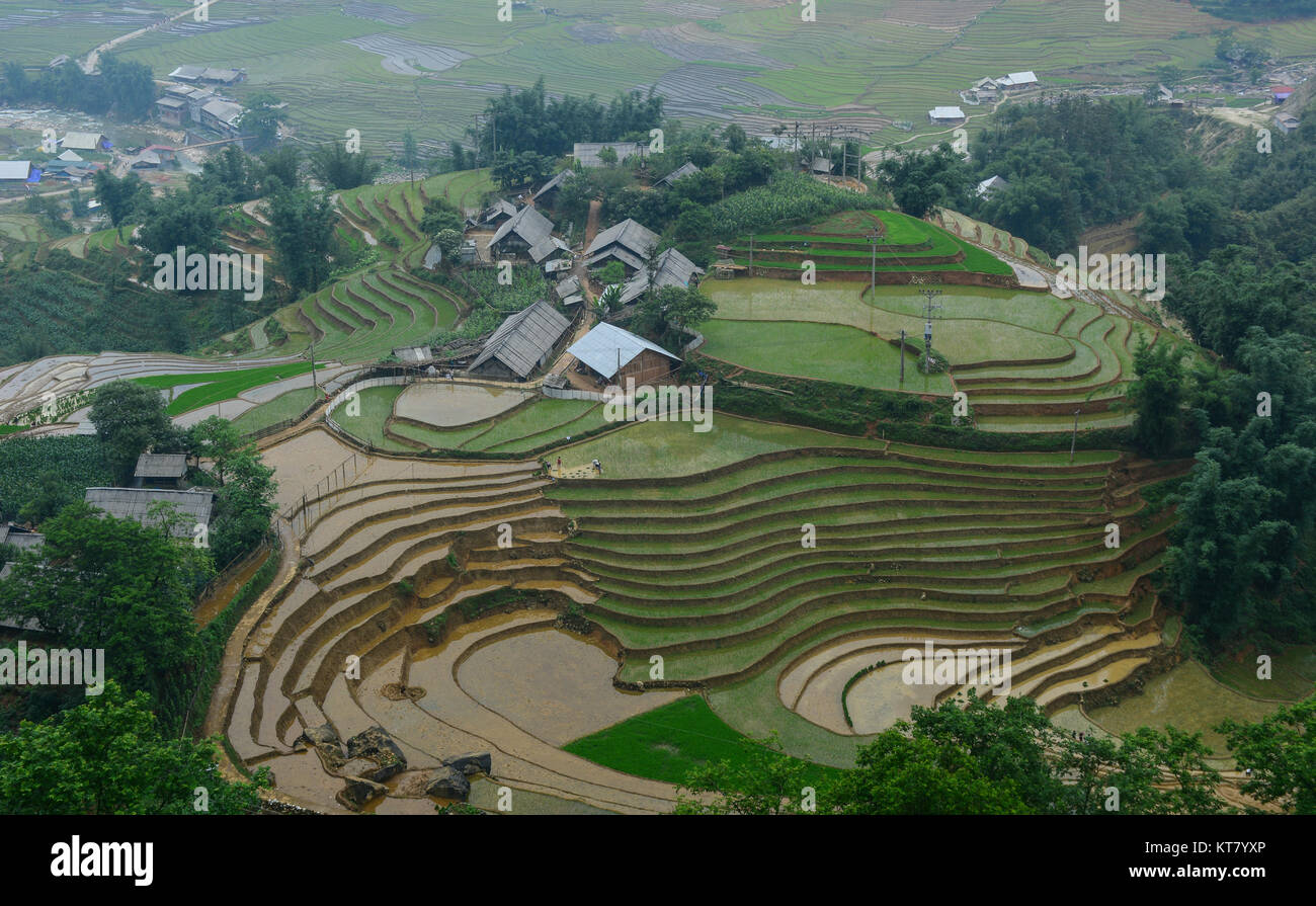 Hmong village with terraced rice field in Sapa, Vietnam. Sapa is a ...