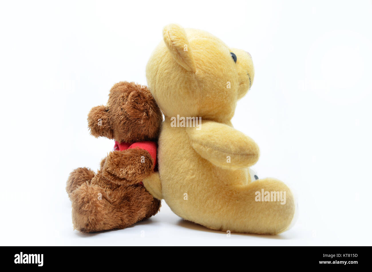Two teddy bears Stock Photo - Alamy