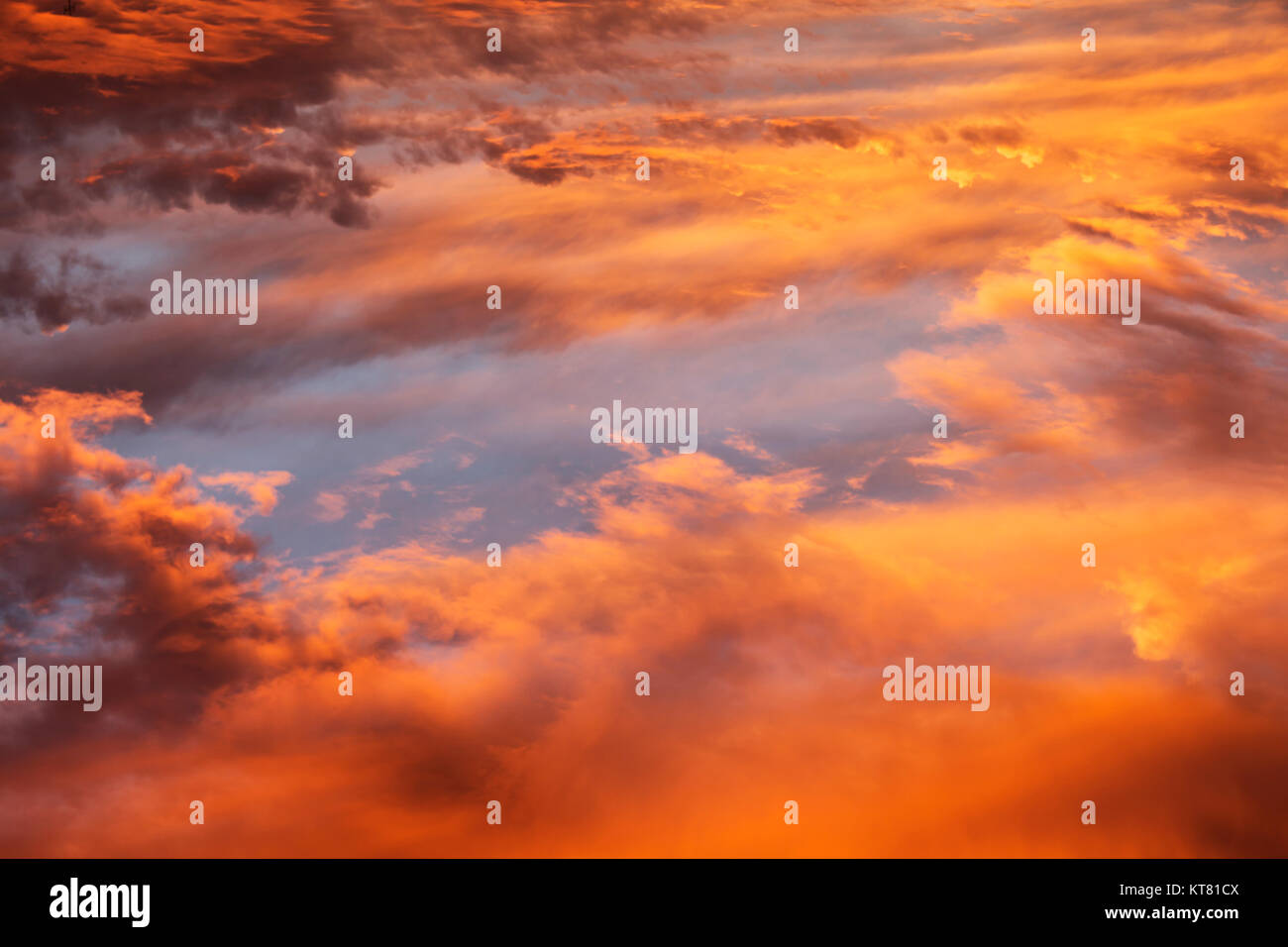 Colorful Heavenly Orange Warm Clouds On Sky at Sunset Stock Photo - Alamy