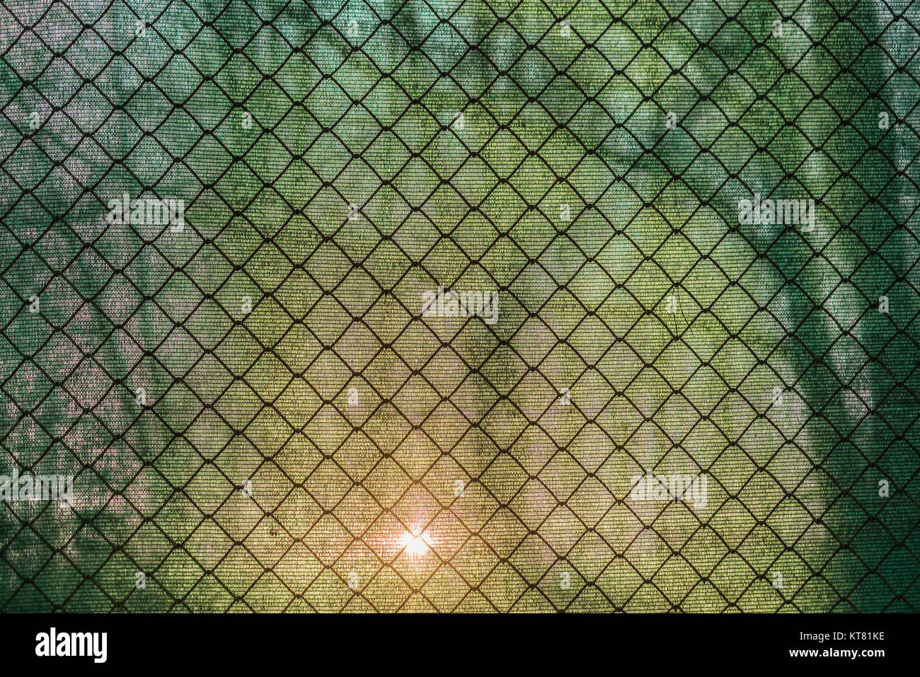 Wire grid soil hi-res stock photography and images - Alamy