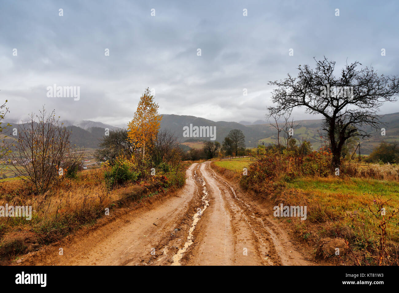 Muddy ground after rain in mountains. Extreme path rural dirt road in ...