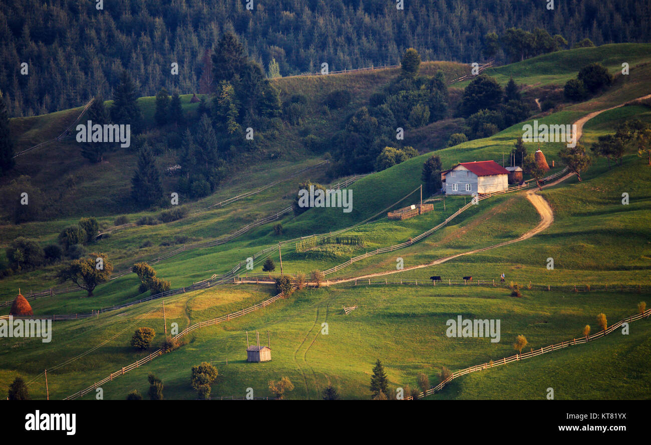 September rural scene in mountains. Authentic village and fence Stock ...