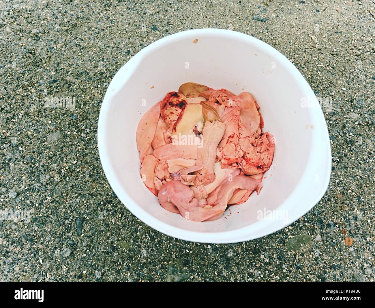Fish dissection hi-res stock photography and images - Alamy