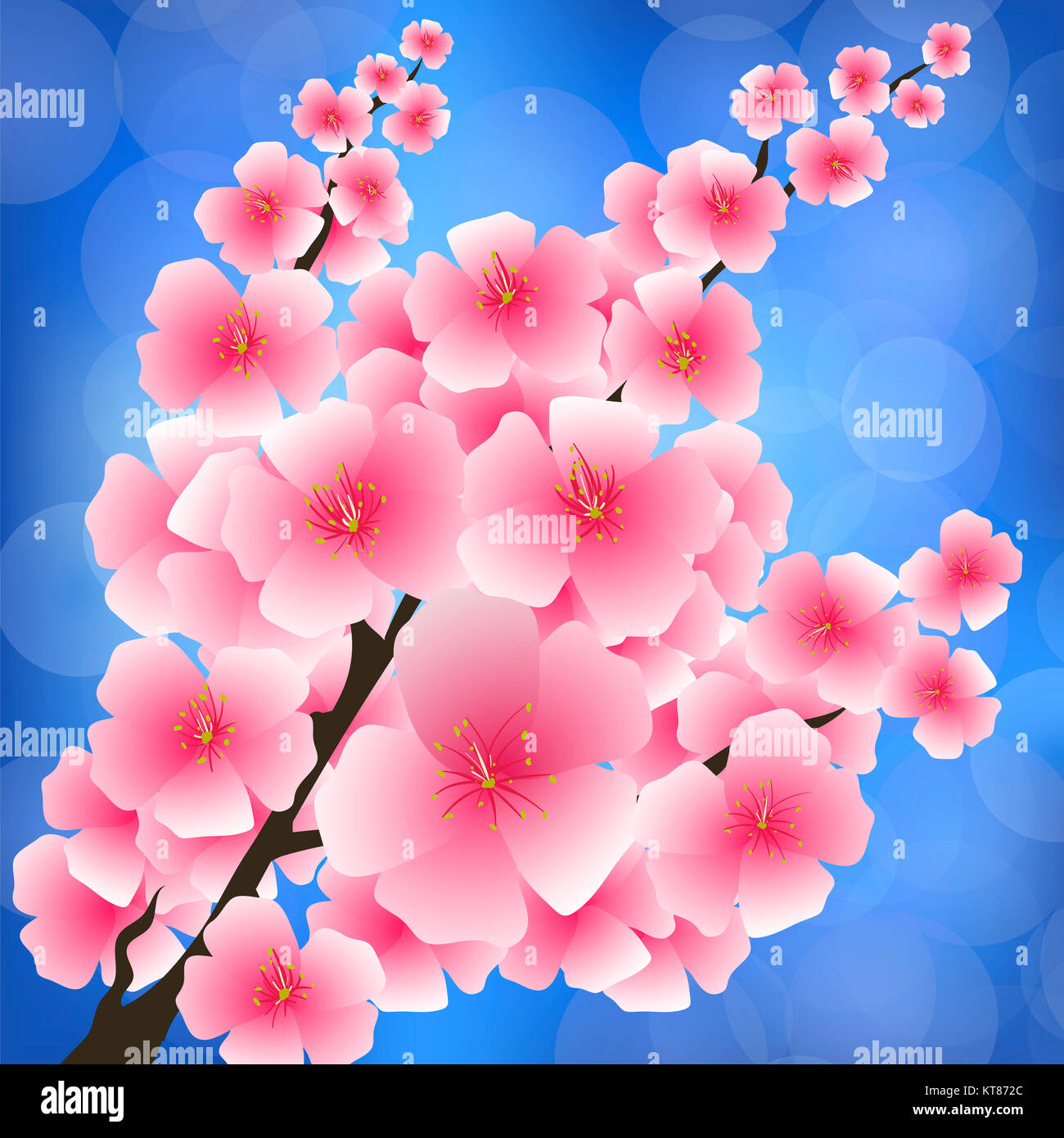 Spring Pink Flowers Stock Photo - Alamy