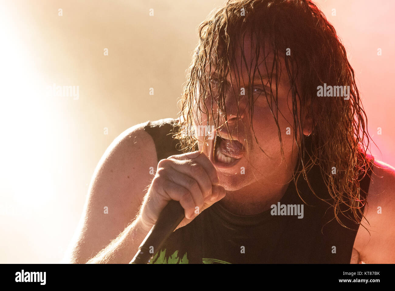 Cattle decapitation band hi-res stock photography and images - Alamy