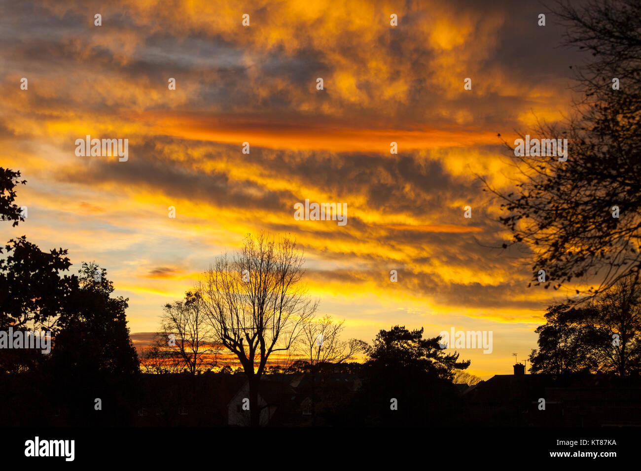 A spectacular countryside skyline sunset in october, rye, east sussex ...