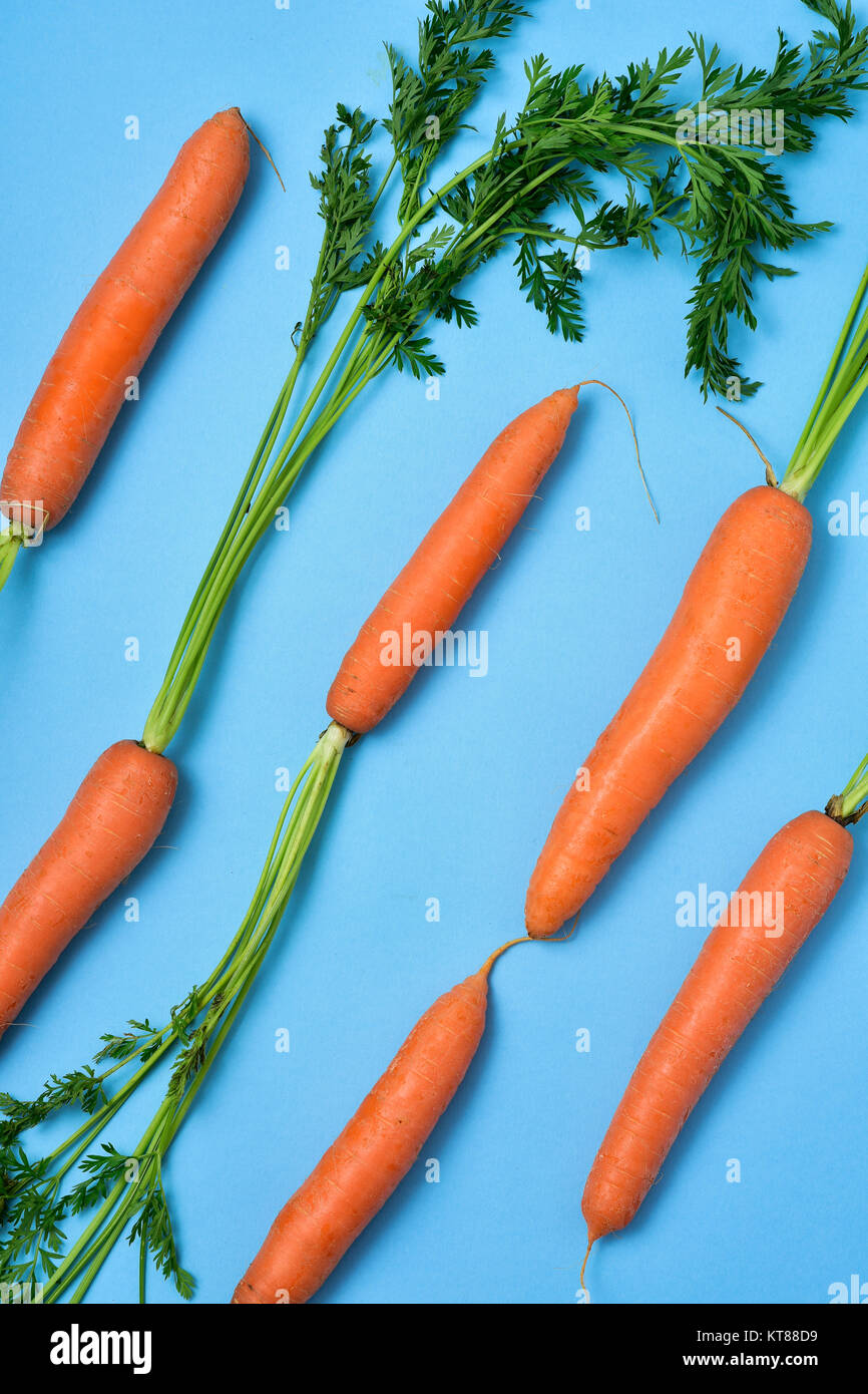 high angle view of some carrots placed in diagonal on a blue background ...