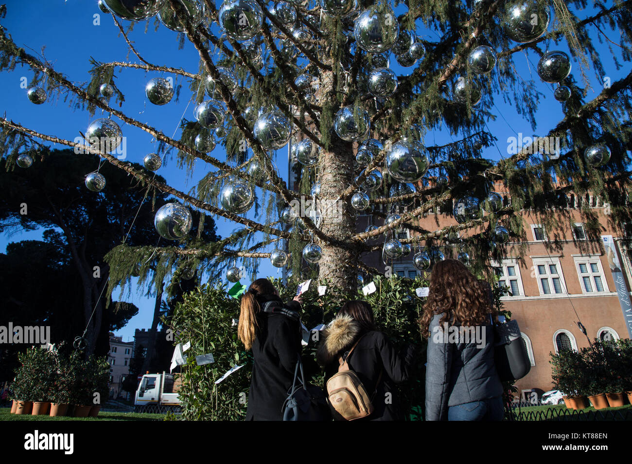 The tree in the center of Piazza Venezia in Rome has become a symbol of ...