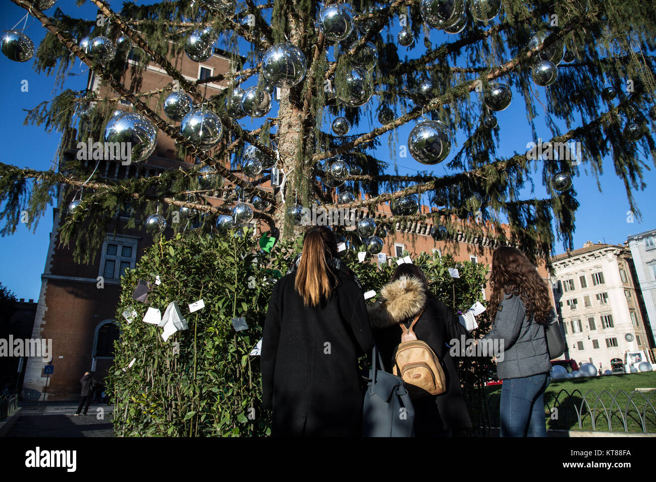 The tree in the center of Piazza Venezia in Rome has become a symbol of ...