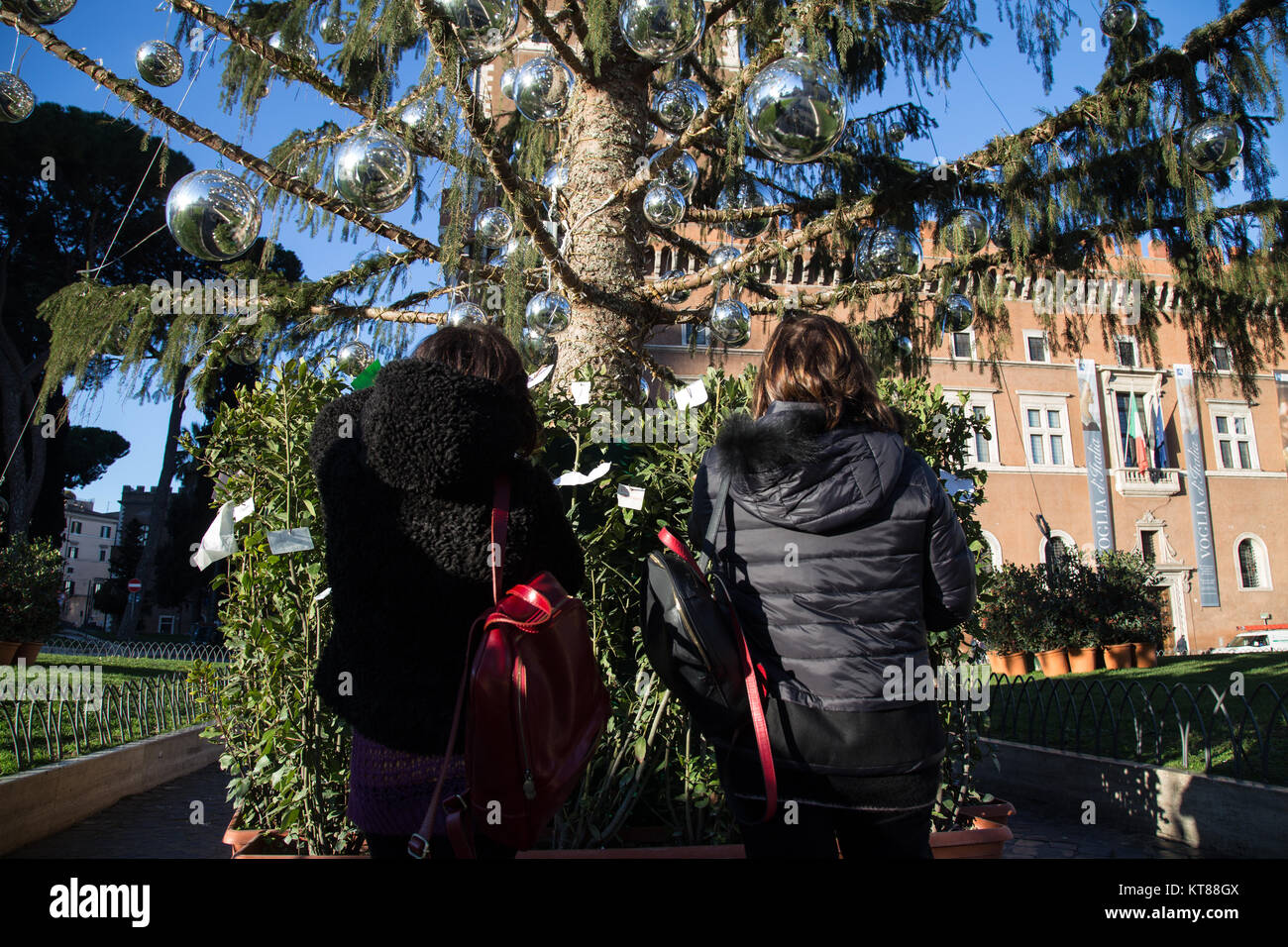 The tree in the center of Piazza Venezia in Rome has become a symbol of ...