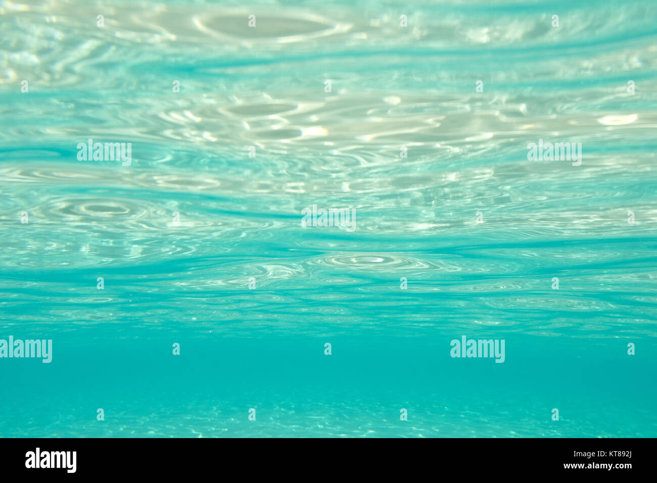 Beautiful underwater background Stock Photo - Alamy