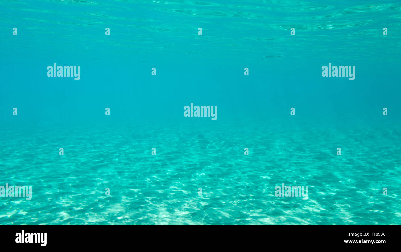 Beautiful underwater background Stock Photo - Alamy